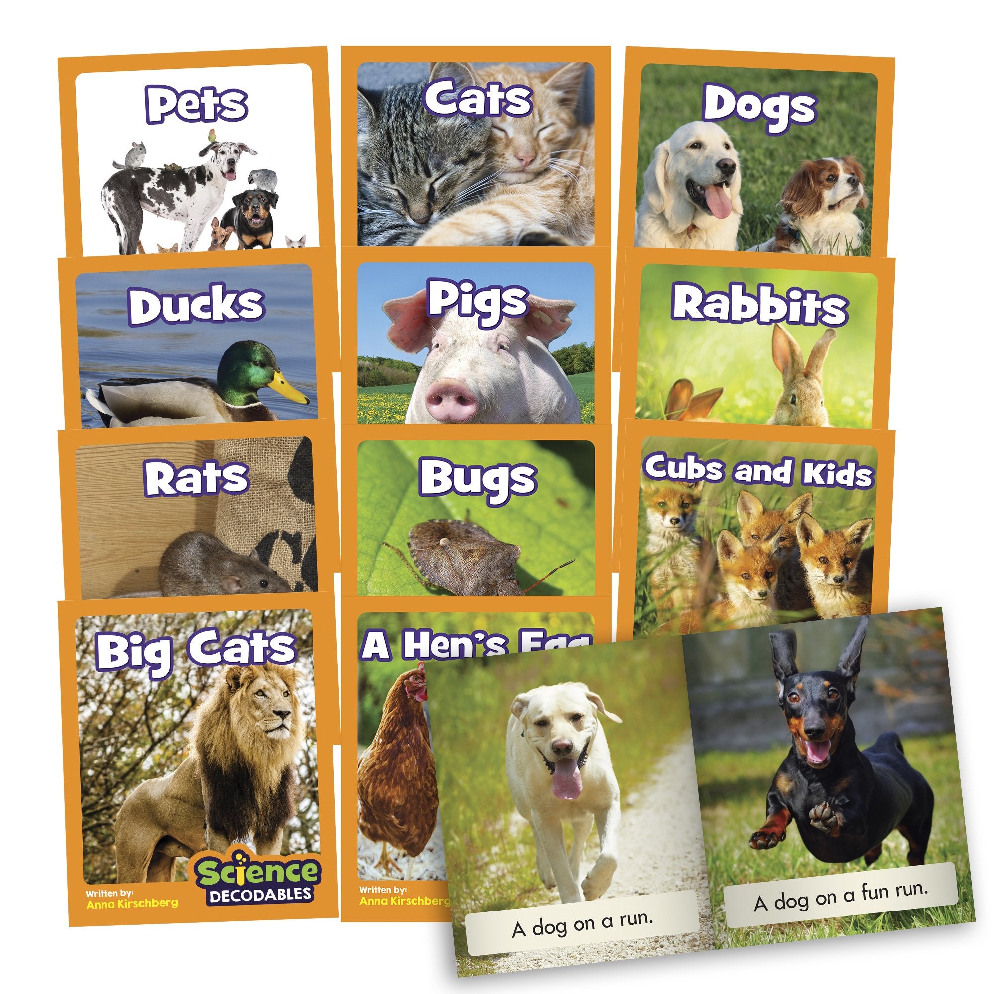 12 Decodable Readers - Phase 2 - Letter Sounds - NON FICTION Books - B