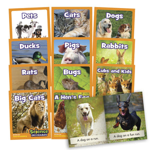 12 Decodable Readers - Phase 2 - Letter Sounds - NON FICTION Books - B